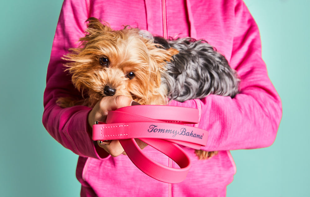 K9 Wear: Dog Harness with Interchangeable Apparel