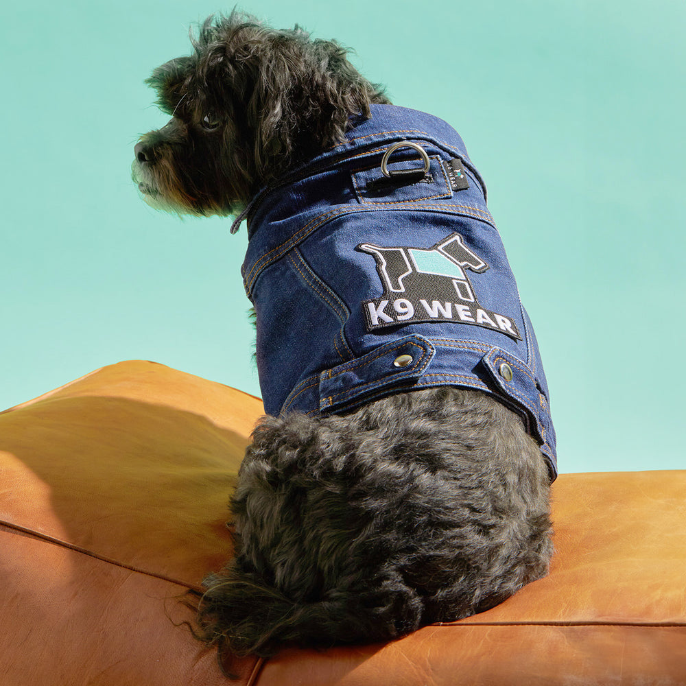 K9Wear: Shop Harness with Interchangeable Apparel