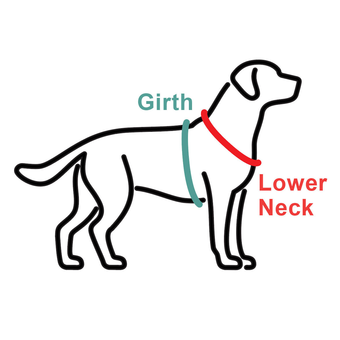 K9 Wear Sizing Guide: How to Measure Your Dog for a Harness / Clothing ...
