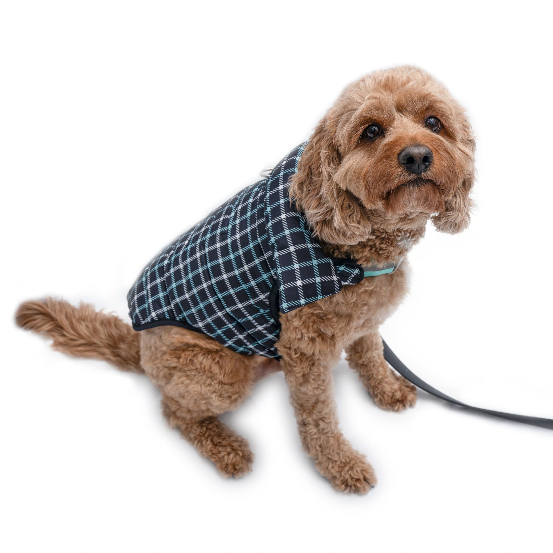 Shop All K9 Wear Dog Coats, Jackets, Clothing & Harness Products