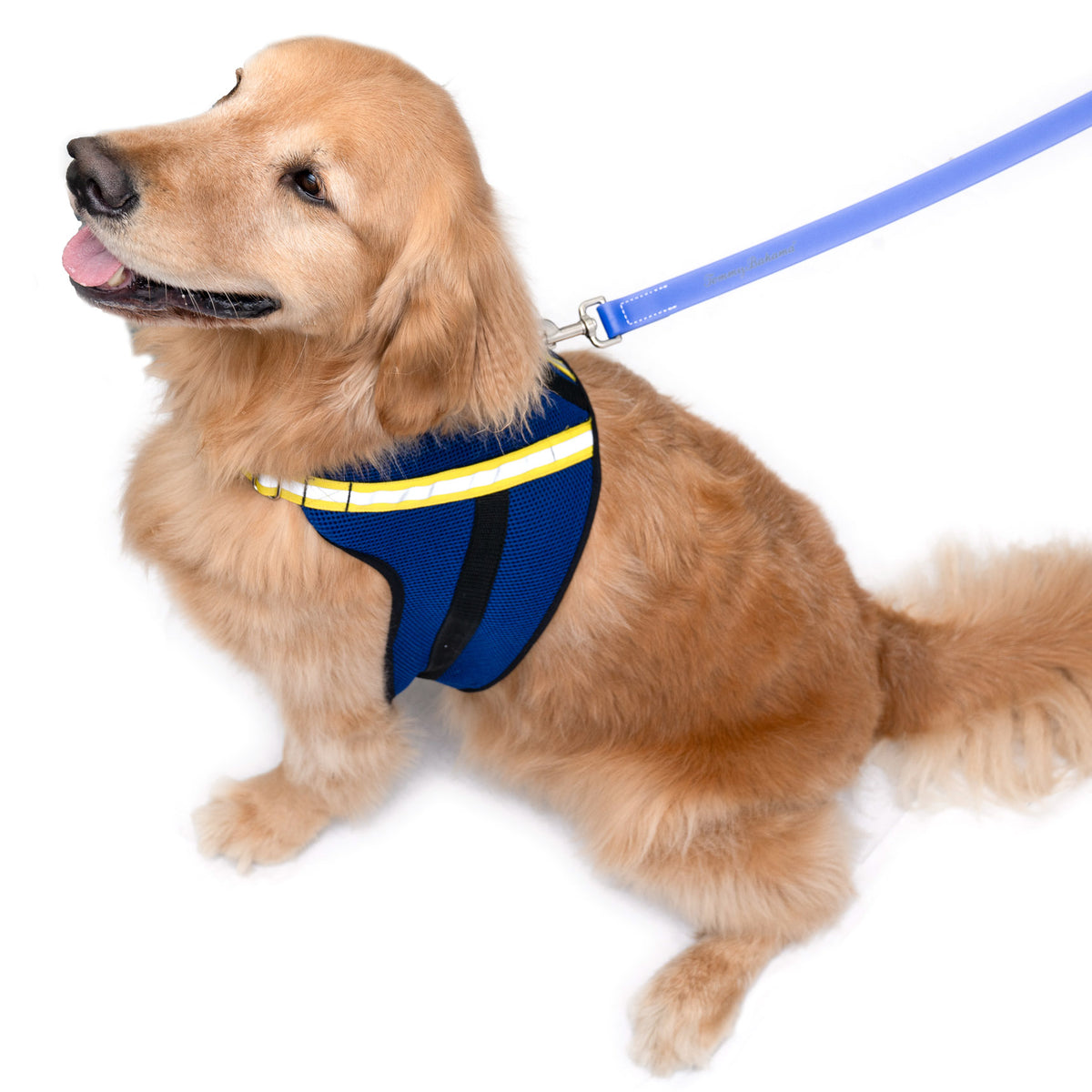 Shop All K9 Wear Dog Coats, Jackets, Clothing & Harness Products – K9Wear